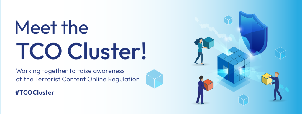 TCO Cluster - ALLIES